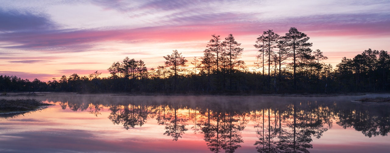 Nature Reflections and the SIGMA 24-70mm F2.8 DG DN II | Art lens with ...